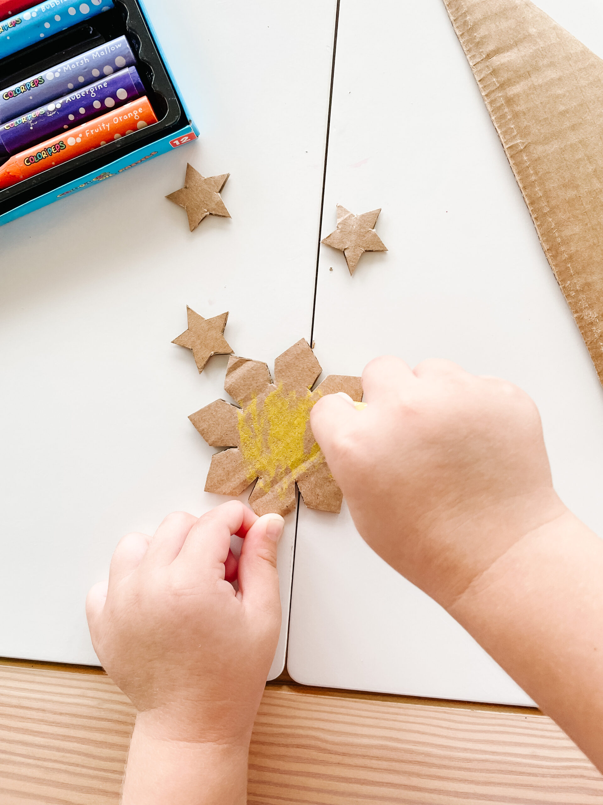 Cardboard Philippine Flag