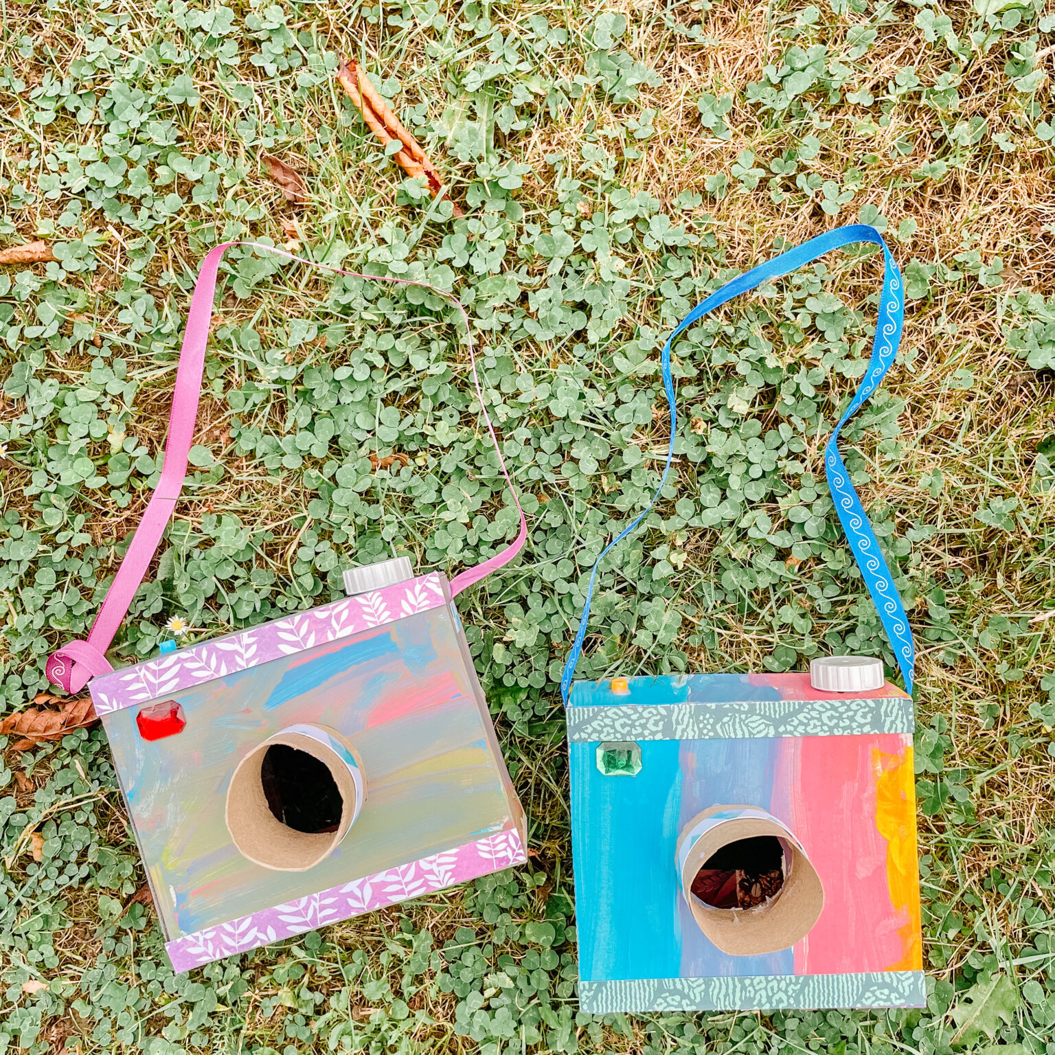 Cardboard Camera Craft