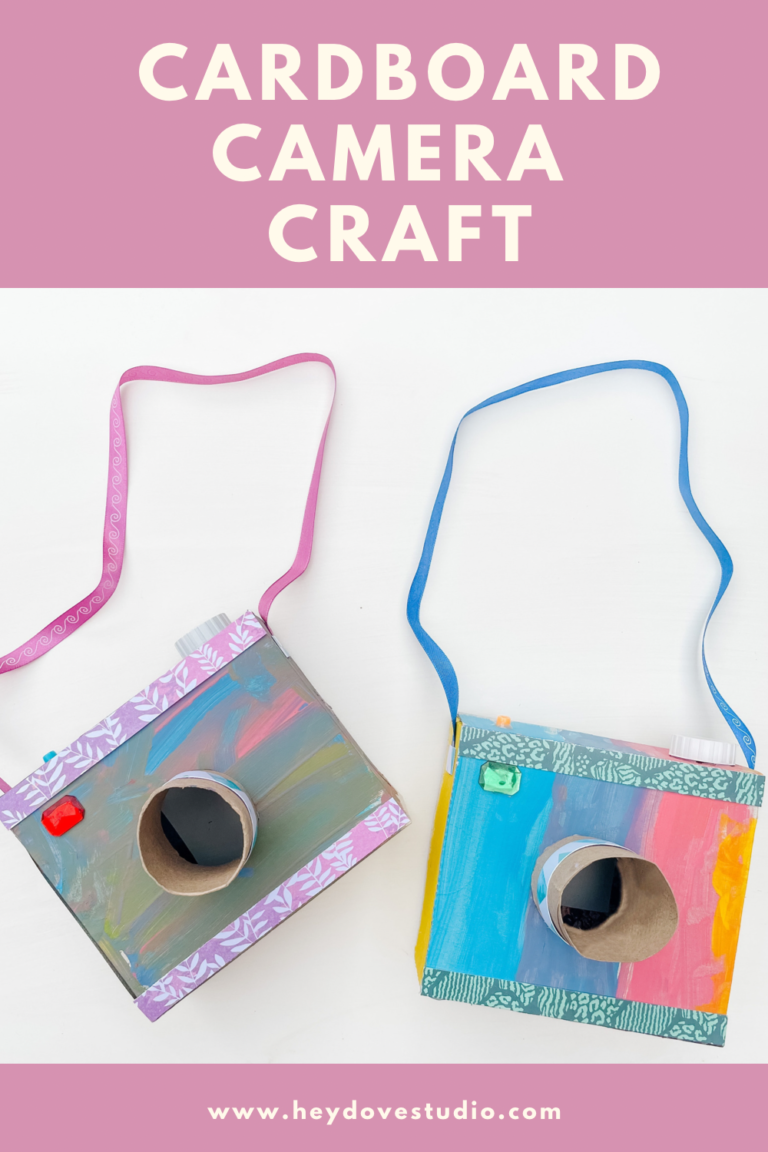 Cardboard Camera Craft