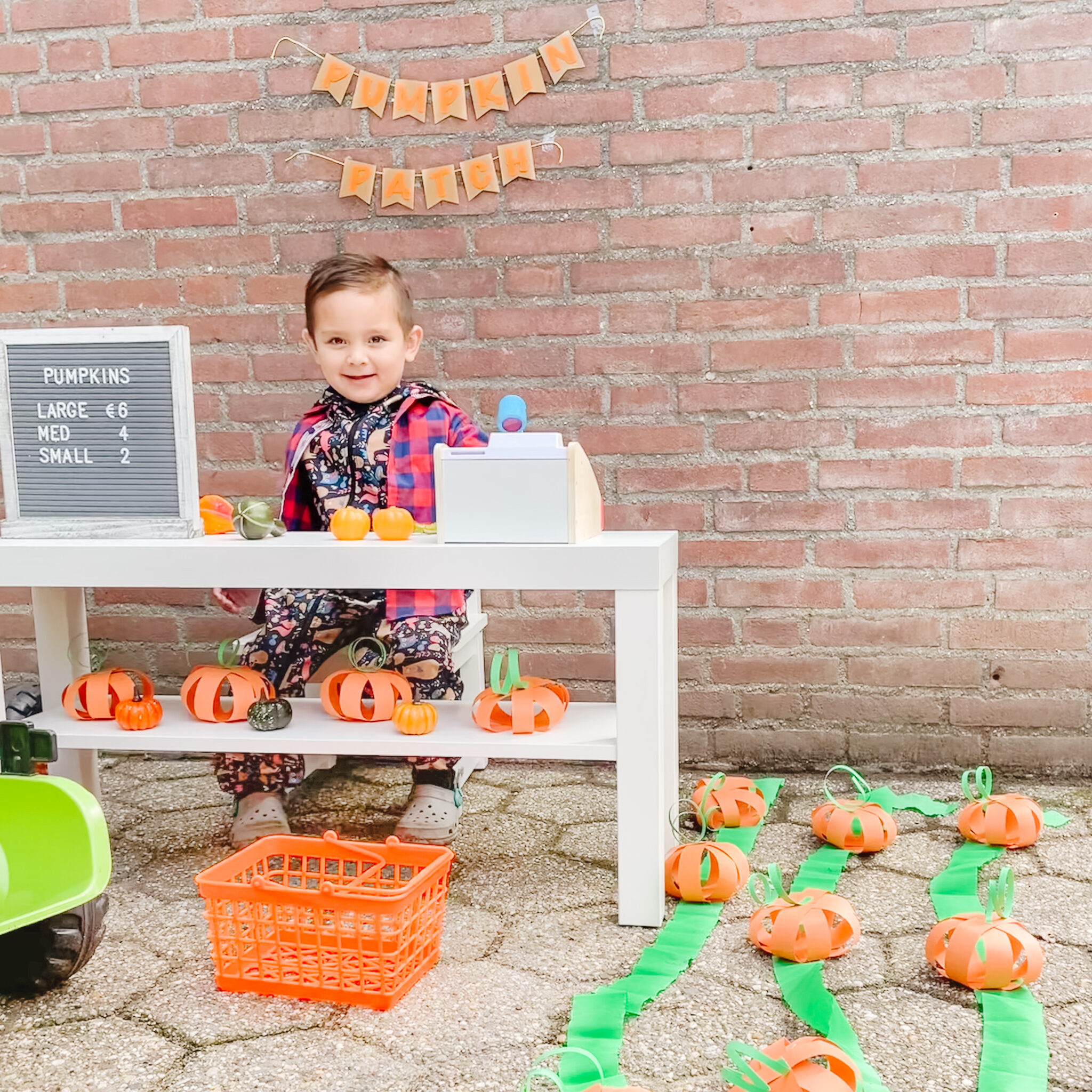 Beehive Shape Sorting Puzzle