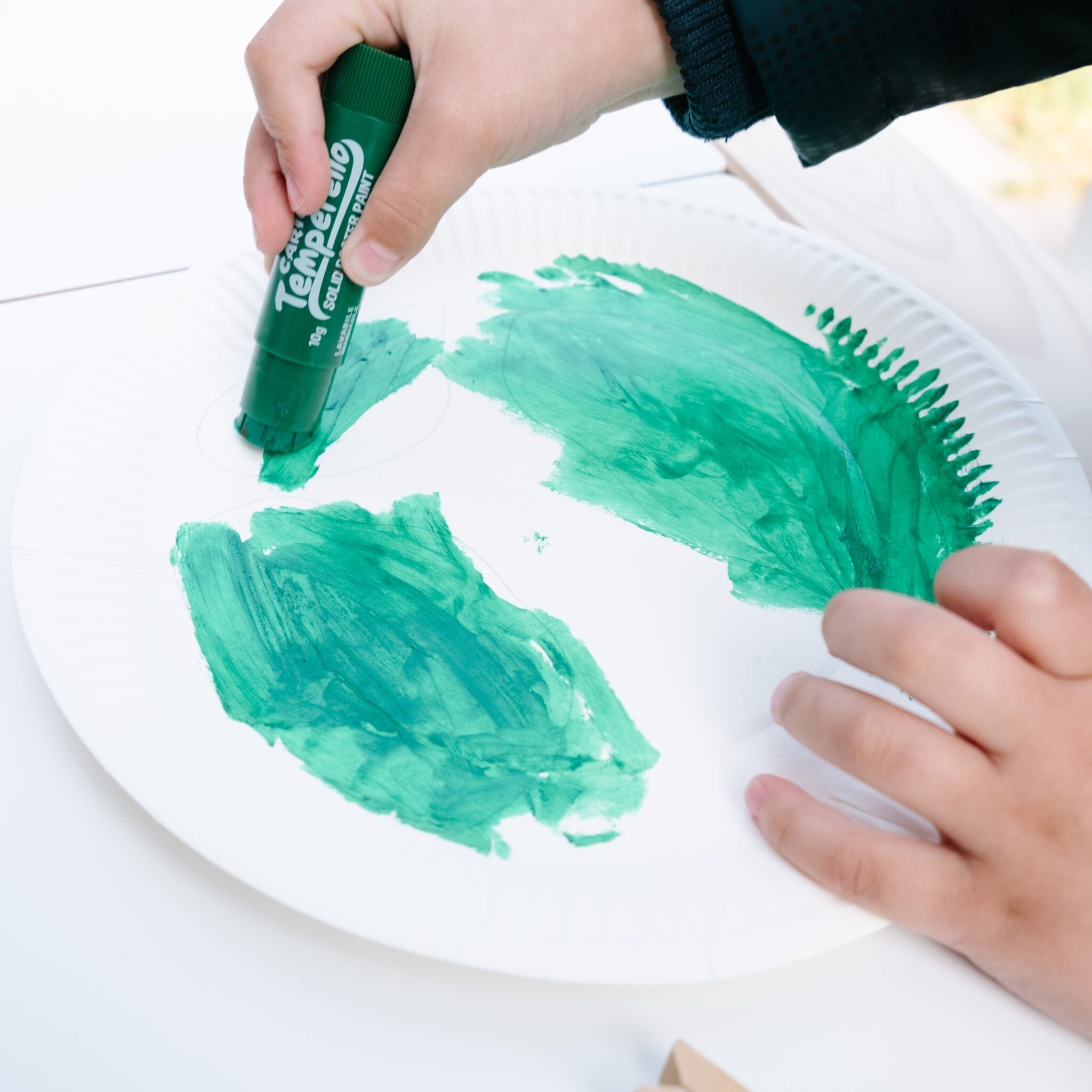 Earth Day Paper Plate Windsocks