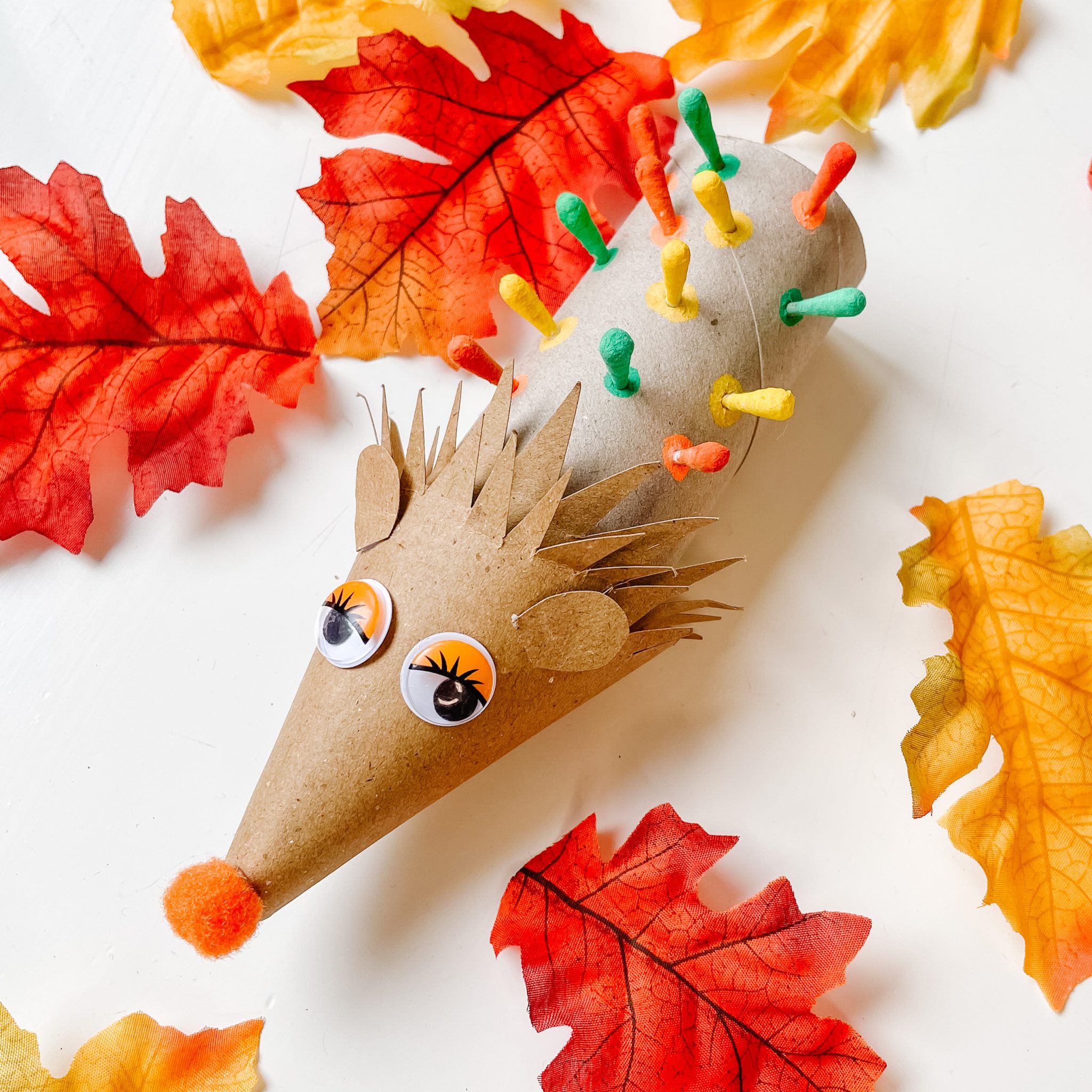 Hedgehog Cotton Bud Activity